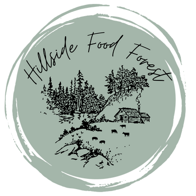 Understanding Beef Tallow: A Comprehensive Guide – Hillside Food Forest